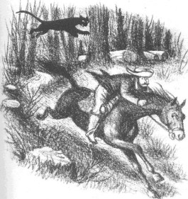 Big Cats of the Southeast (Part 1): The Panther in American History ...