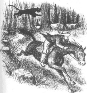 Big Cats of the Southeast (Part 1): The Panther in American History ...